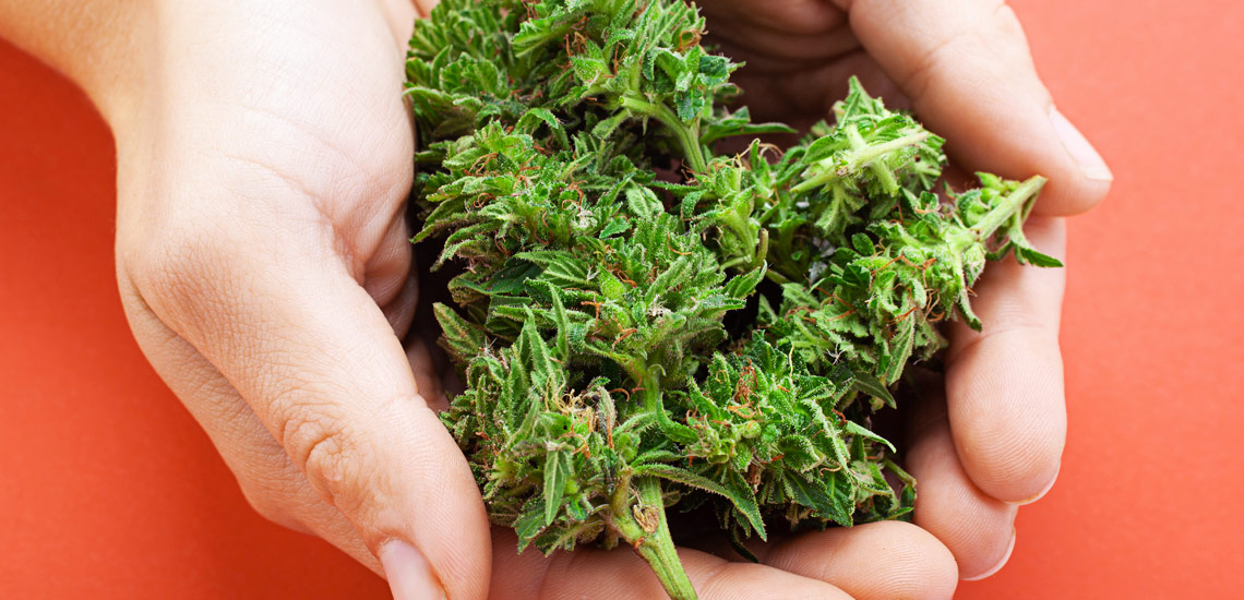 The medical uses of Cannabinoids - Clinical studies | De Medicines
